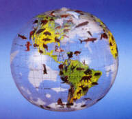 Products: Animal Globe